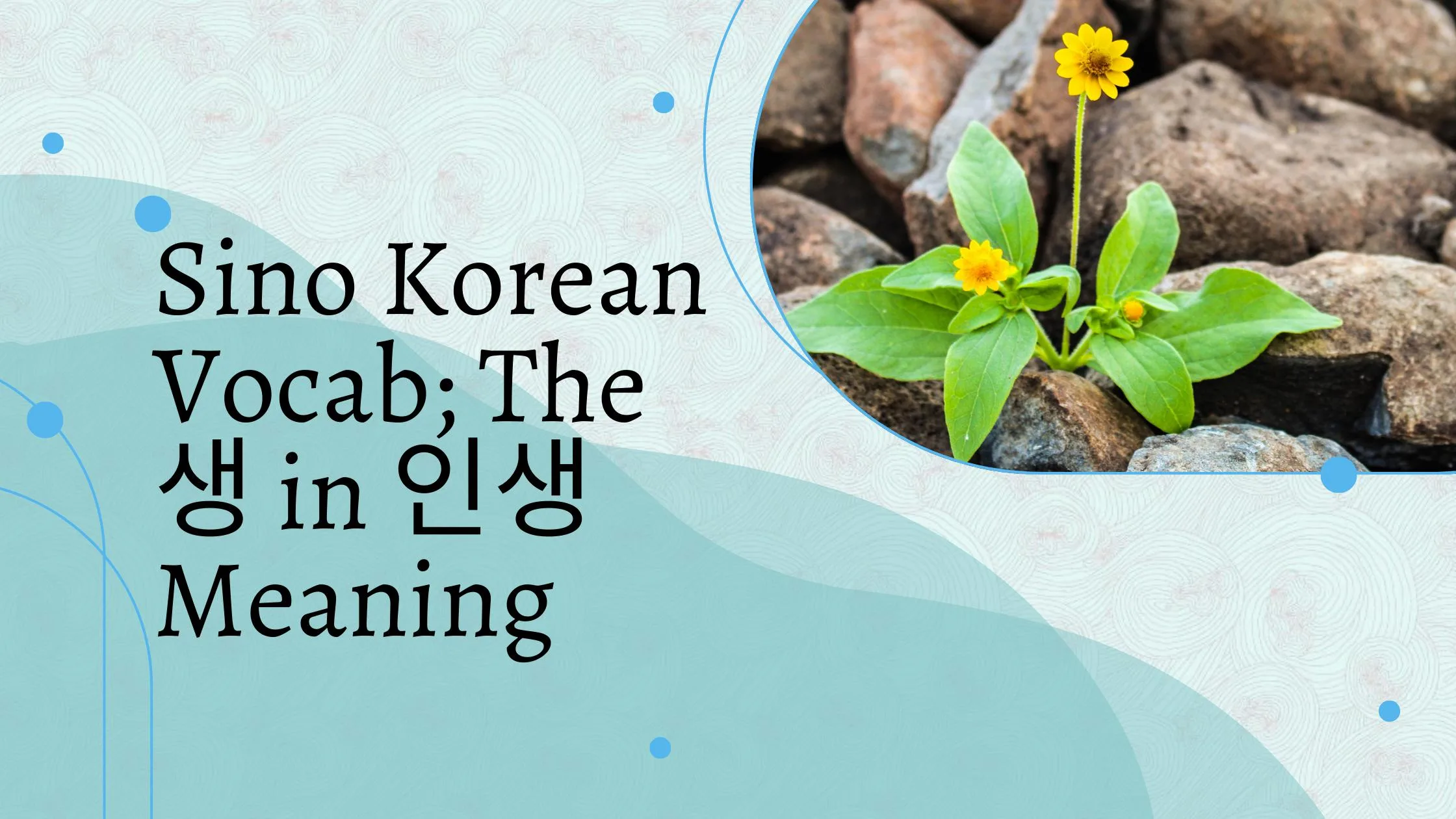 Sino Korean Vocab; The 생 in 인생 Meaning | Koreanling